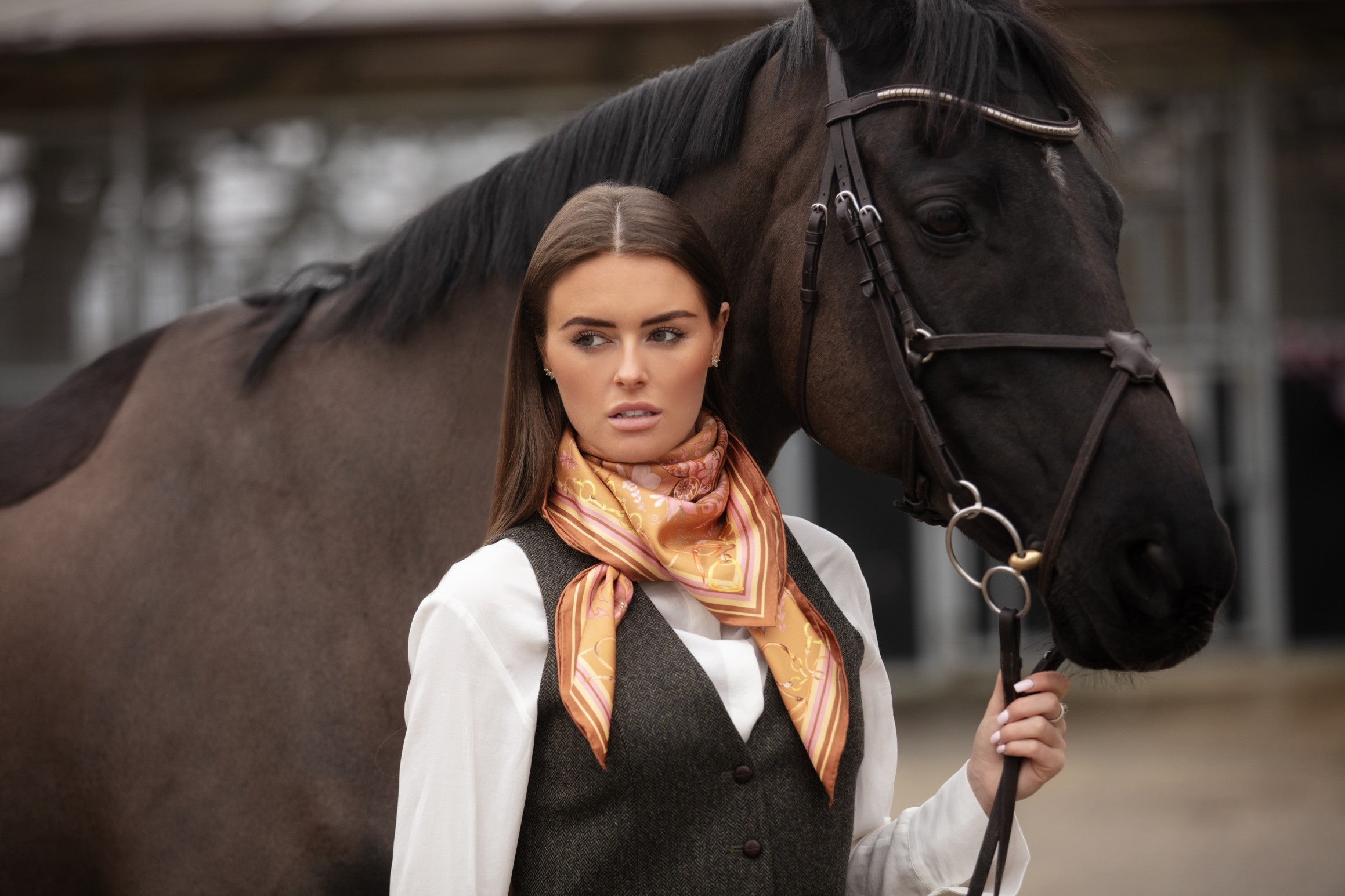 The Joy Ride: A Celebration of the Horse – Clare Haggas