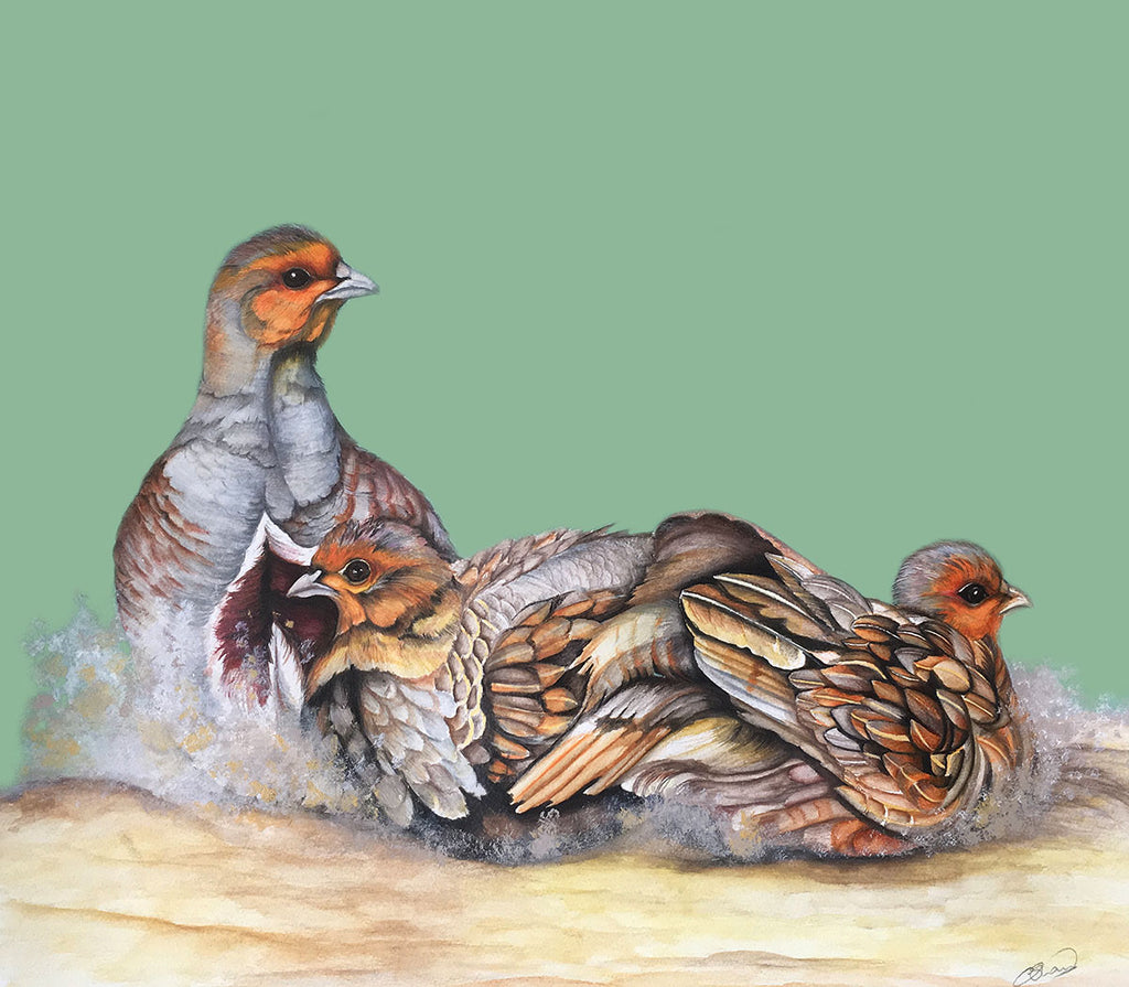 Done And Dusted Original Artwork by Clare Haggas
